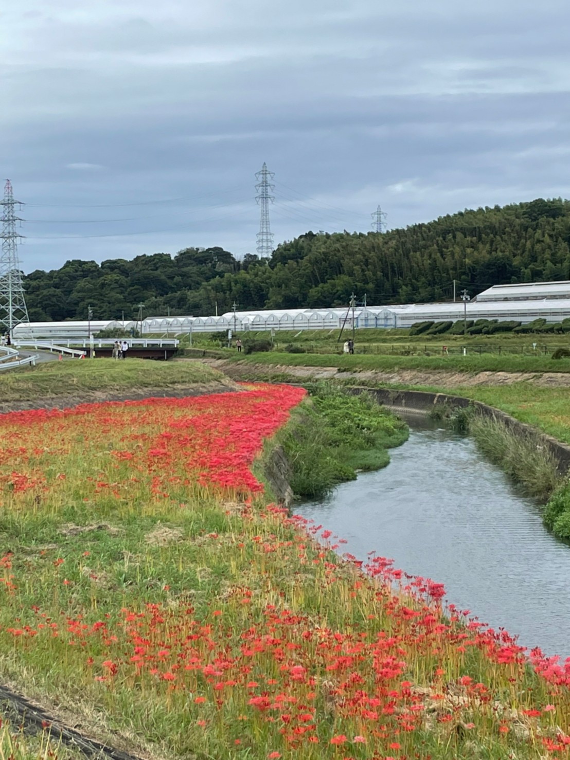ジェイエスピー・タイムズ VOL.21 | JSPオフィシャルブログ