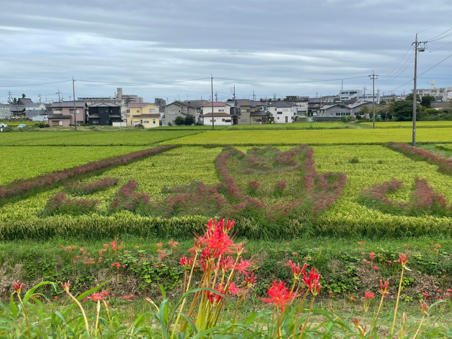 ジェイエスピー・タイムズ VOL.21 | JSPオフィシャルブログ