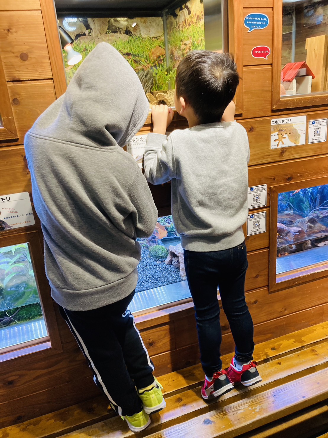 ジェイエスピー・タイムズ VOL.37 | JSPオフィシャルブログ