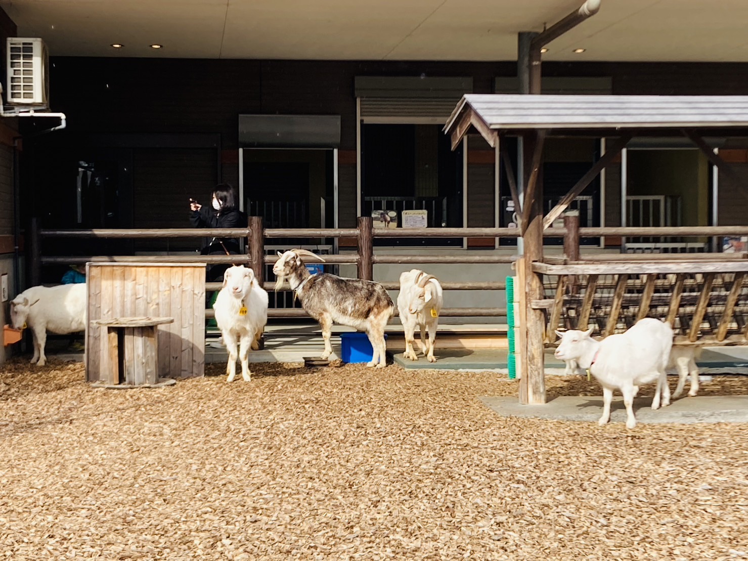 ジェイエスピー・タイムズ VOL.37 | JSPオフィシャルブログ